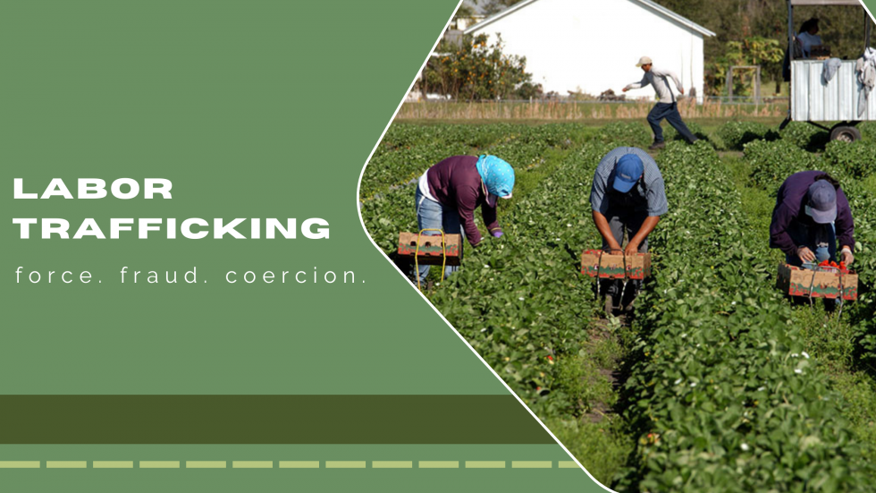 Labor trafficking is a form human trafficking - NC Stop Human Trafficking